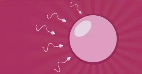 IUI Procedure: How Does IUI Work Step By Step? | Nova IVF